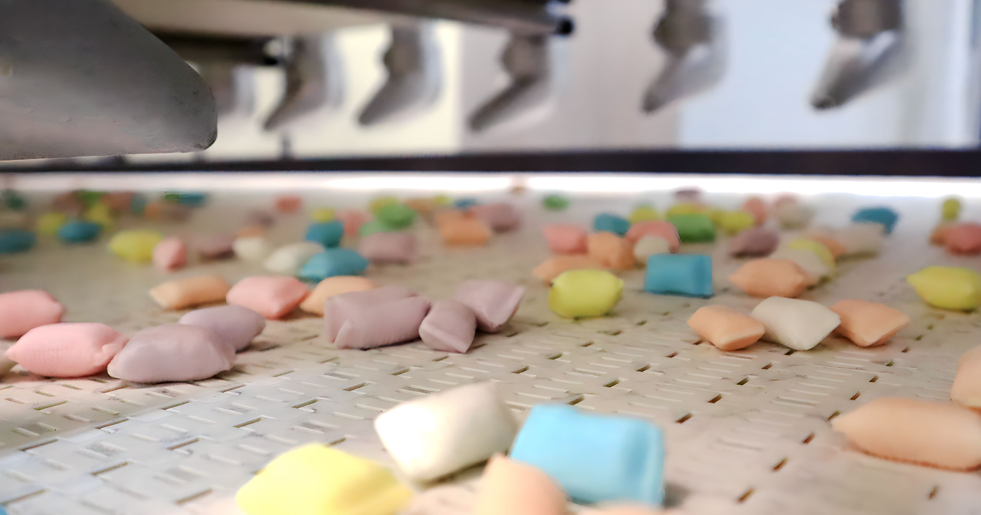 Pioneering Nutrient Delivery: How Boncha Bio's Candyceutical Redefine ...